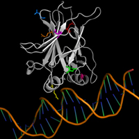 Finding consensus on target genes - A*STAR Research