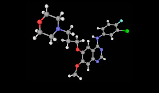 The molecular path to better oral cancer care - A*STAR Research