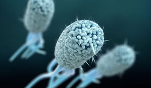 Beating bacteria – looking beyond antibiotics - A*STAR Research