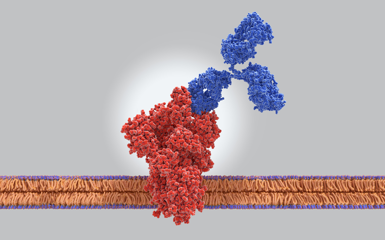 Capturing antibodies in asymptomatic COVID-19 patients - A*STAR Research