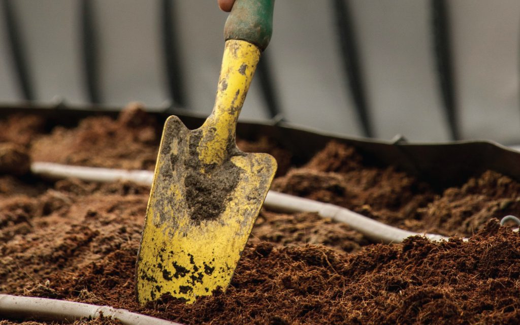 Superbug killers on native soil - A*STAR Research